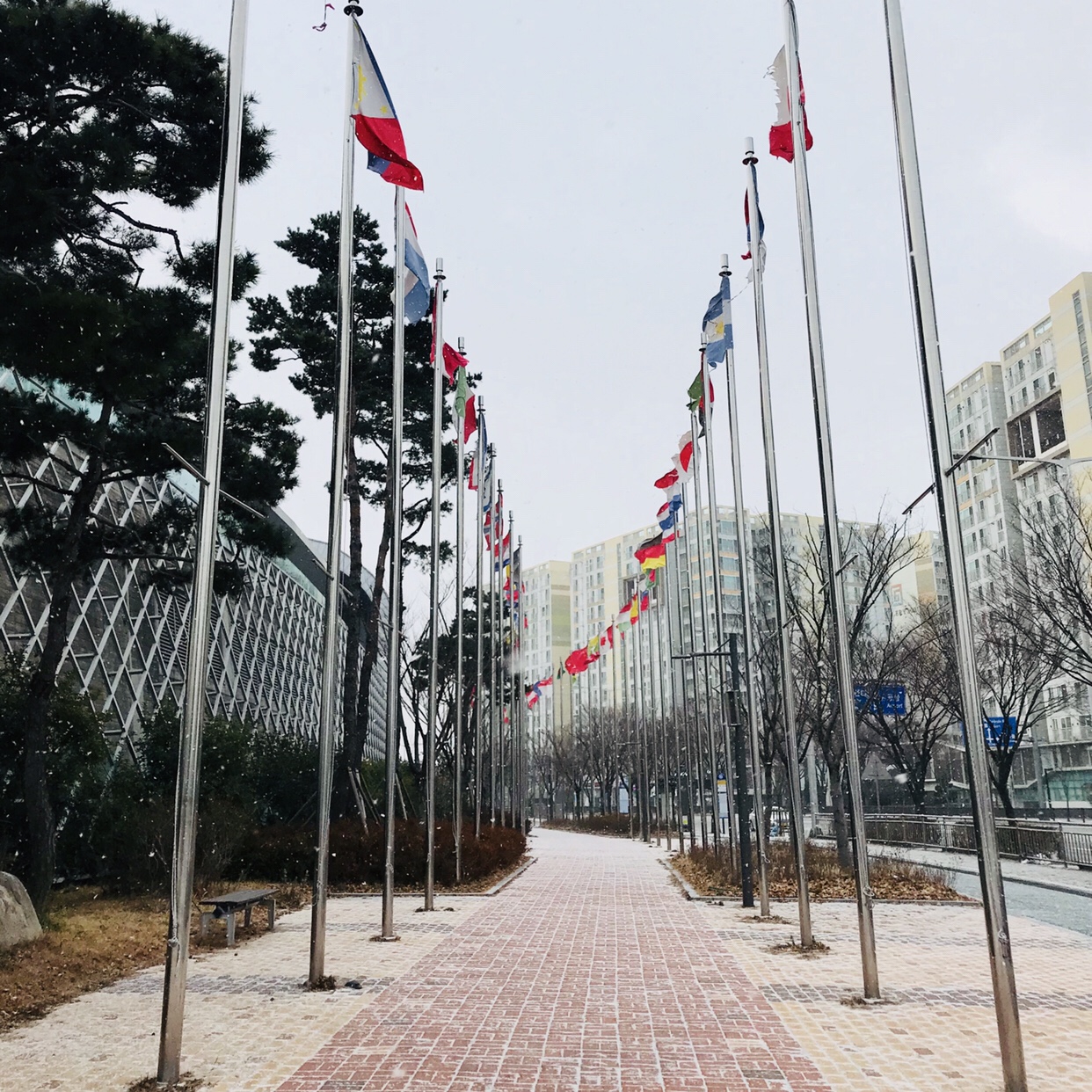 Weekly Photo Challenge: Variations on a Theme – l'atelier tanu | tagnoue